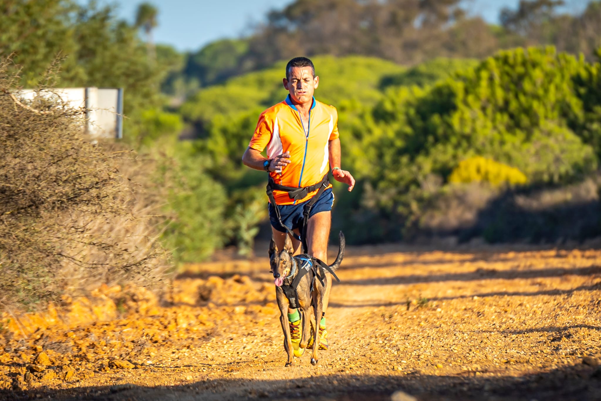 Compromiso – Canicross Cádiz